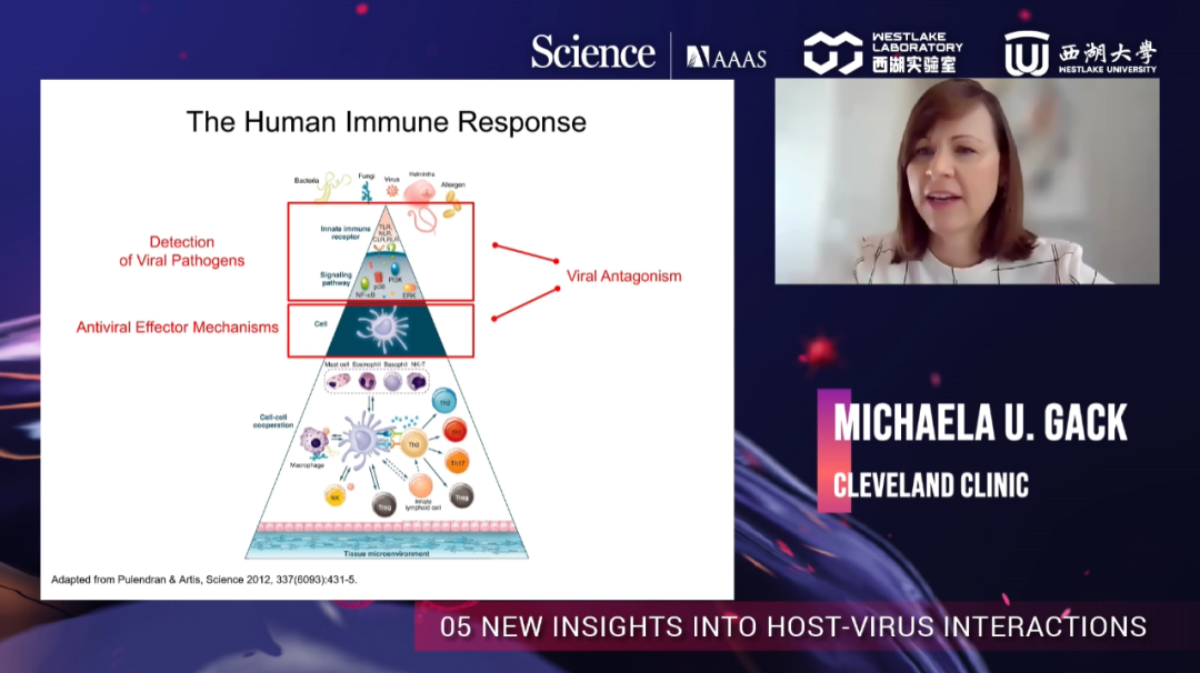 西湖实验室-精彩回顾 | 西湖-Science系列研讨会第⑤期：宿主-病毒相互作用的新见解