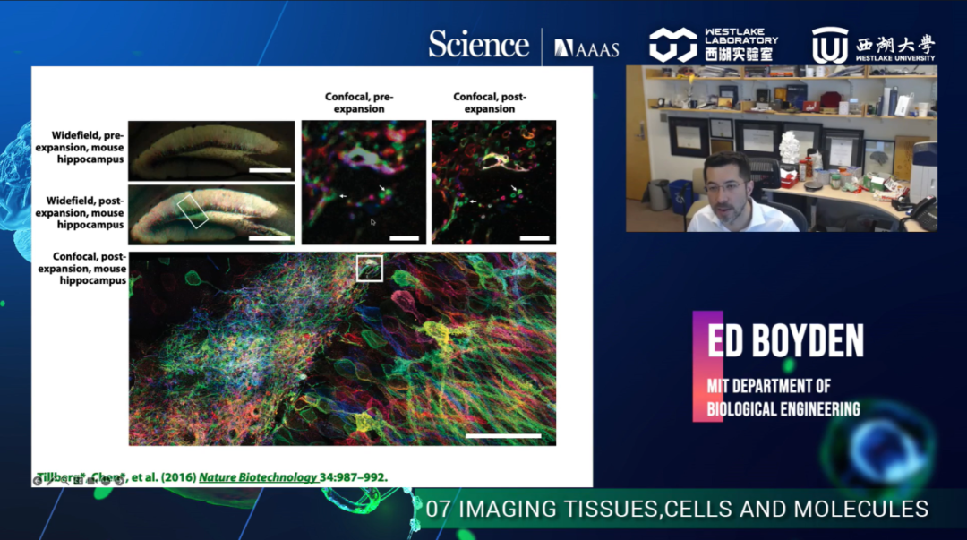 西湖实验室-精彩回顾 | 西湖-Science系列研讨会第⑦期：组织、细胞和分子成像
