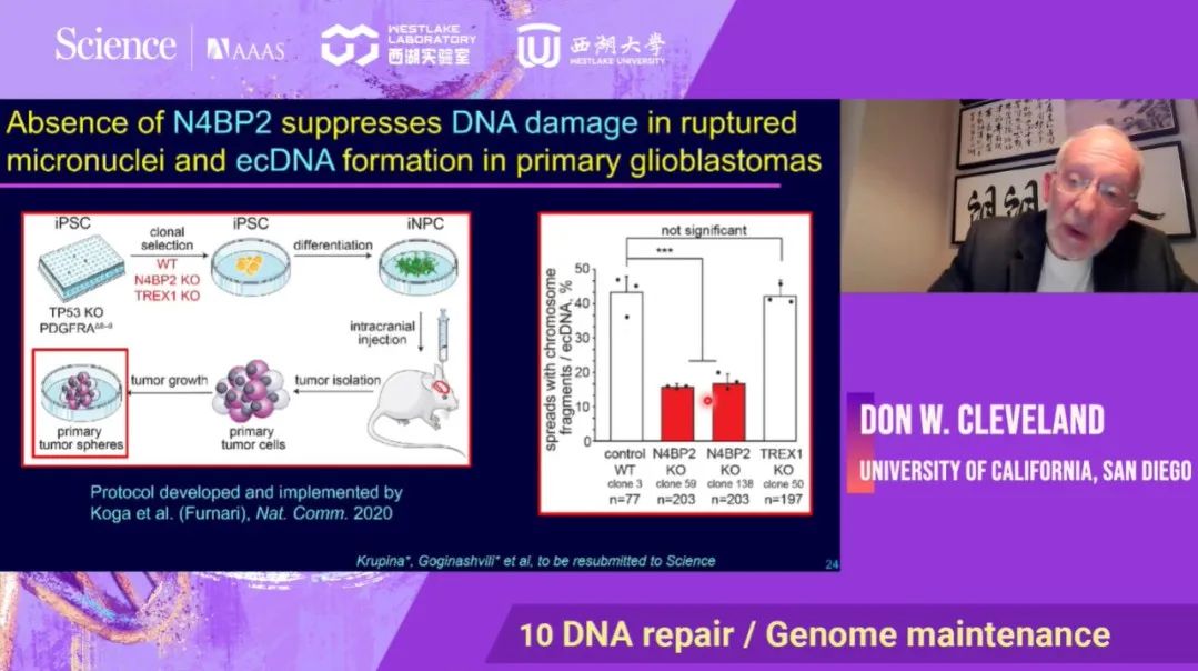西湖实验室-精彩回顾 | 西湖-Science系列研讨会第⑩期：DNA修复/基因组维护
