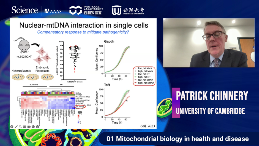 西湖实验室-精彩回顾 | 西湖-Science系列研讨会第①期：健康与疾病中的线粒体生物学
